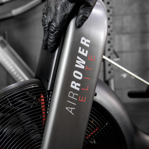 Assault Rower Rudergerät Assault Fitness Ergometer