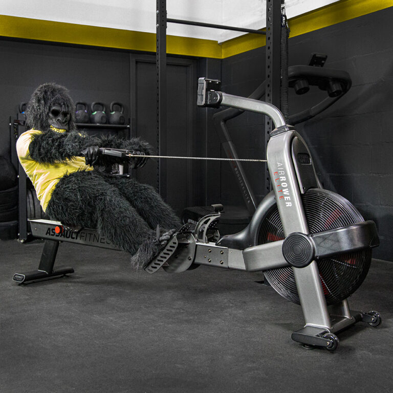 Assault Rower Rudergerät Assault Fitness Ergometer